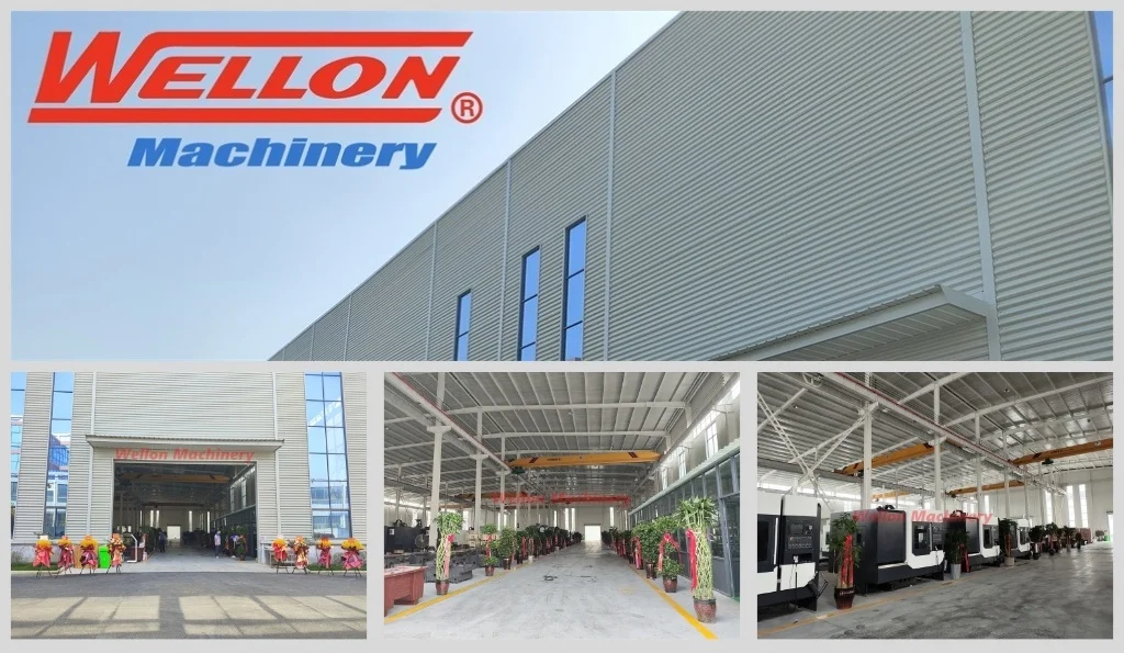 BS260G Gear Drive Metal Cutting Band Saw/multifunction Miter Sawing ...