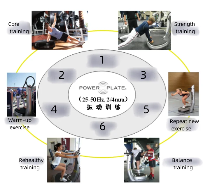 High Quality Vibration Plate for Weight Loss Training