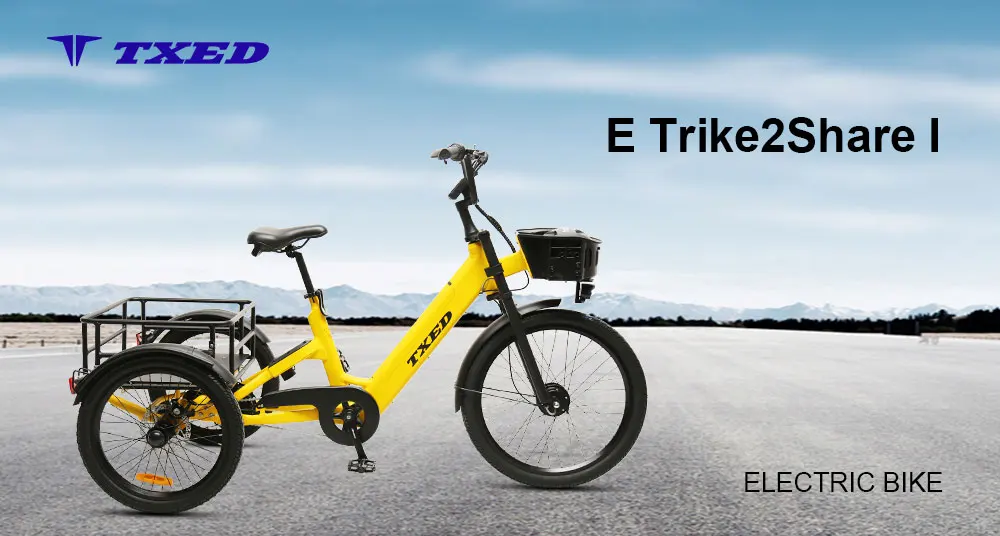TXED 36V 250W Electric Sharing Cargo Bike Single Speed Electric Shared Tricycle for Adult ...