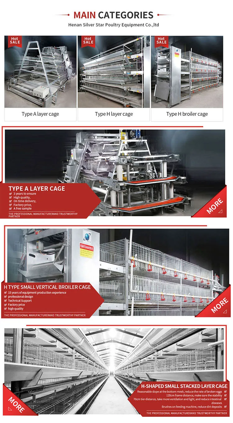 3 Tier A Type Chicken Cages - Efficient Poultry Solutions