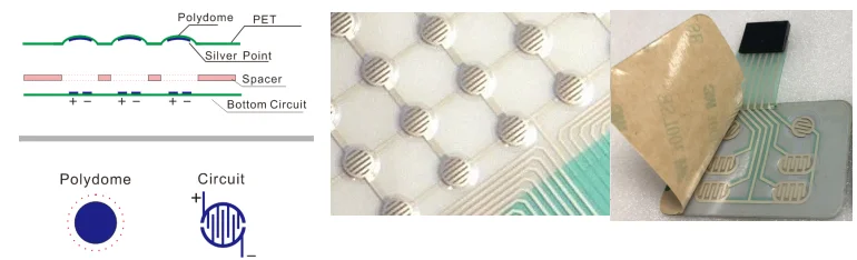 Customize Design Push Button Switches - Polydome Membrane