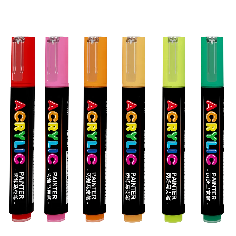 12 Pack Clear Plastic Dual Acrylic Neon Paint Markers