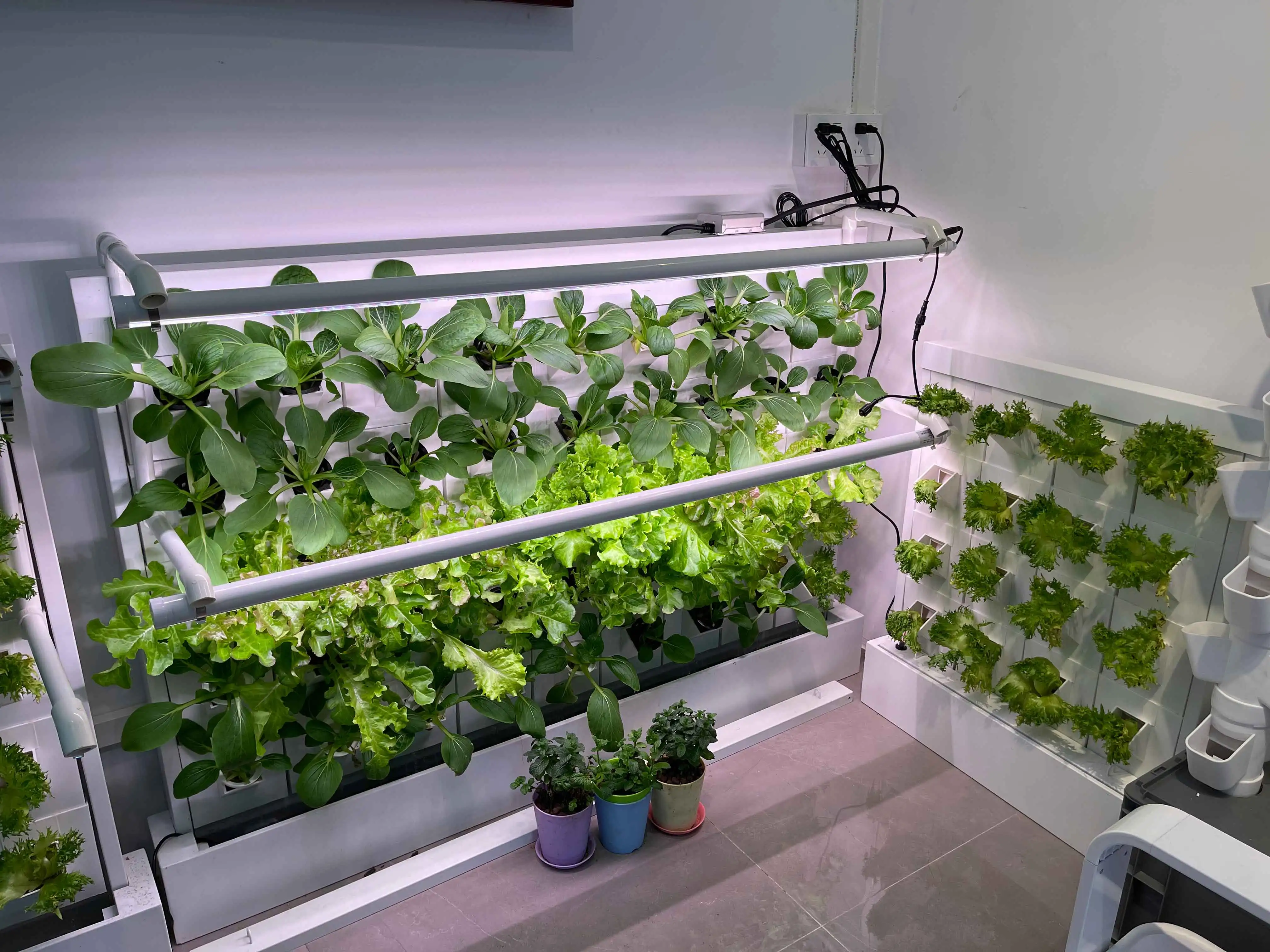 Skyplant Wall Type Hydroponic System - Easy Vertical Growing
