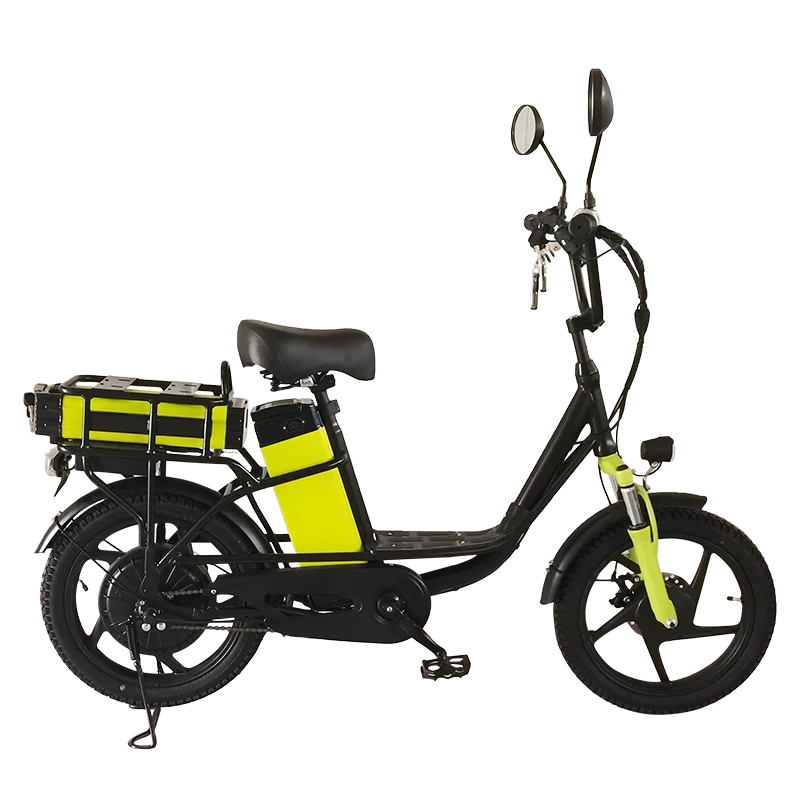 500w 18 Inch 2 Wheel Family Electric Cargo Delivery E Bike Lithium Battery Bicycle - Buy Family ...