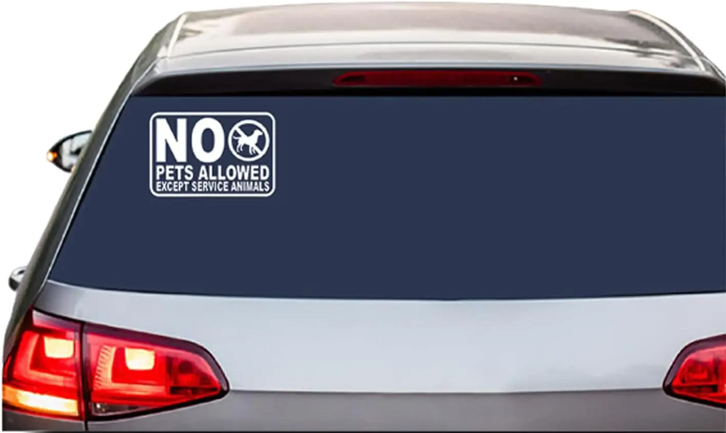 No Pets Allowed Stickers Vinyl Decal Uv Protected Waterproof Adhesive ...