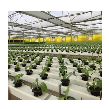 Agricultural Greenhouses Hydroponics Gully Vertical Farming Gutter ...