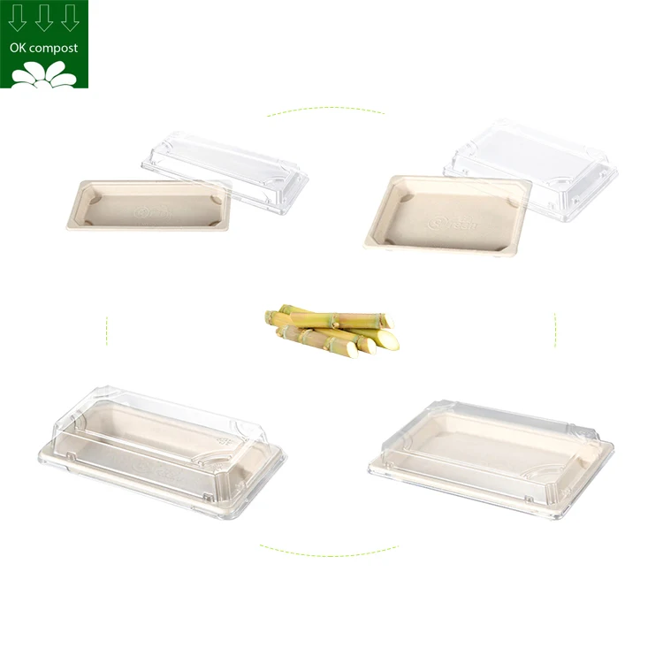 Custom Sugarcane Bagasse Disposable Eco Friendly Sushi Packaging Dish ...