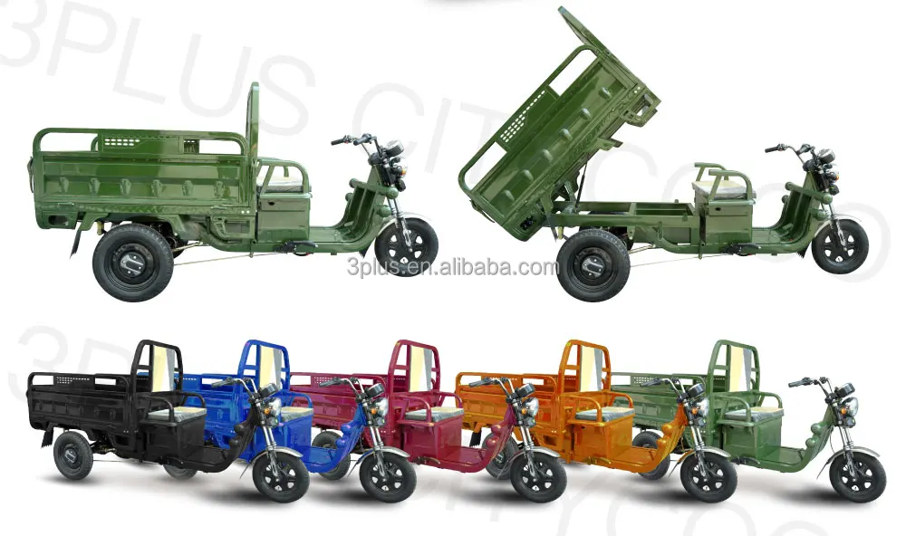 3plus EU COC EEC Stock Electric Cargo Tricycle for Family Farm