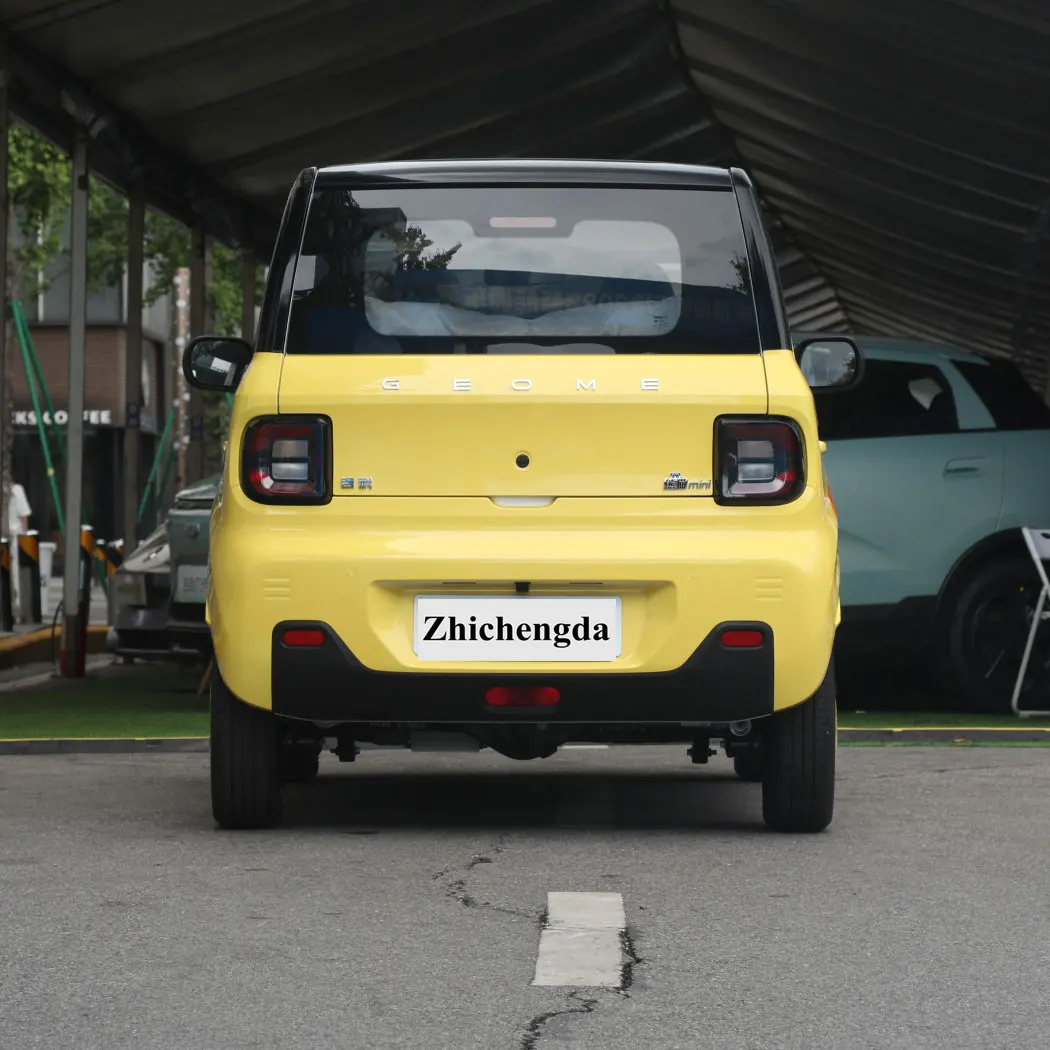Electric Car Geely Panda Mini 2023 Ev Car 120km Cute New Geometry Geome ...