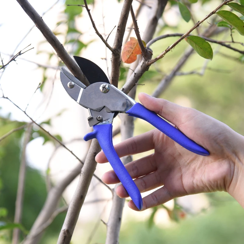 Sk-5 Steel Anvil Ratchet Secateurs Anvil Bypass Secateurs - Buy Best ...