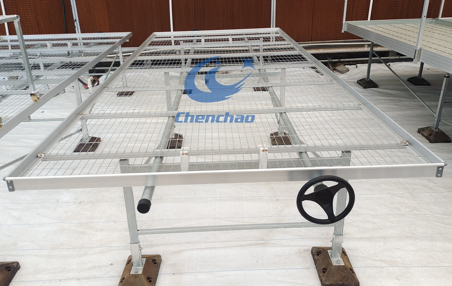 Rolling Benches Flow Tables Flood Grow Ebb And Drain Table Trays 4x8 ...