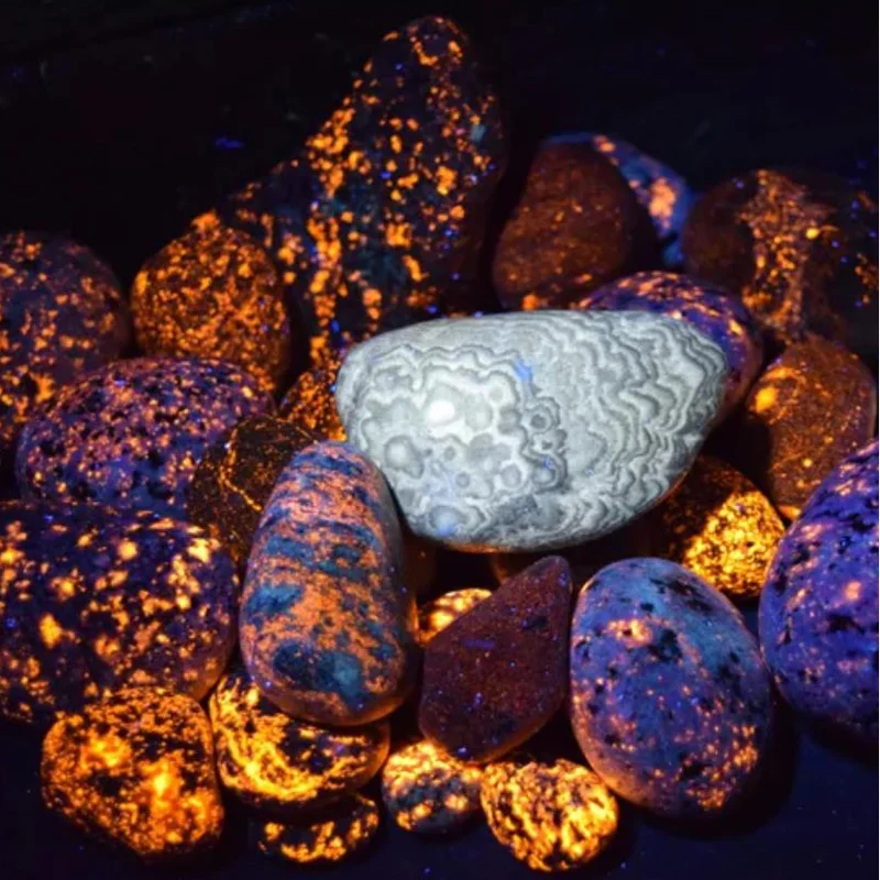 Manta Ray S1 UV Flashlight - 365nm LED for Fluorescent Detection