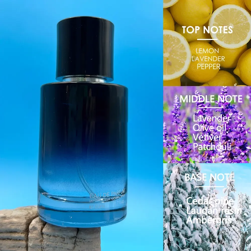 OEM Male Perfume NATURAL SPRAY EAU DE PARFUM Men's Cologne Original ...