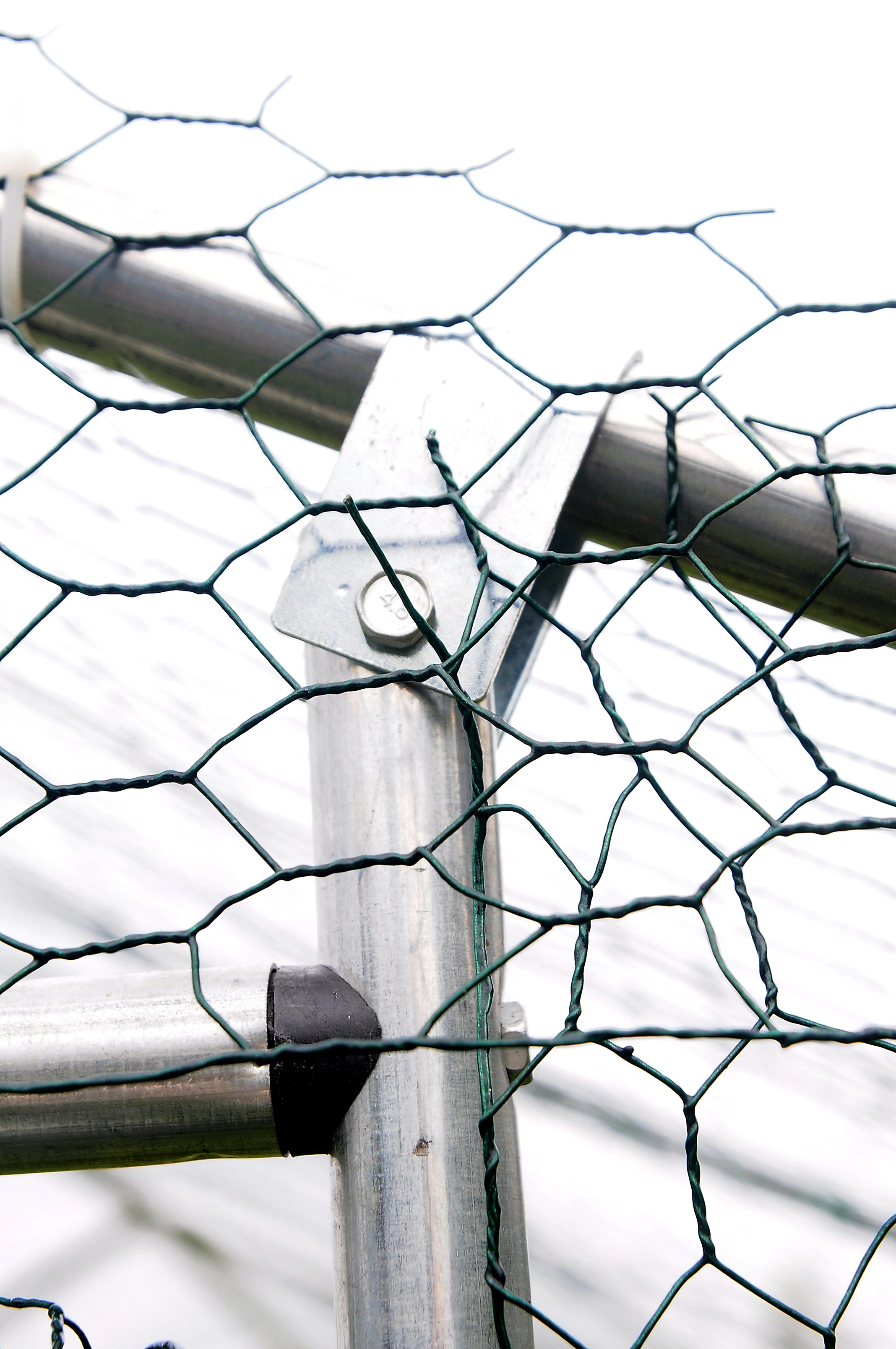 Durable Galvanized Steel Chicken Coops for Backyard Farms