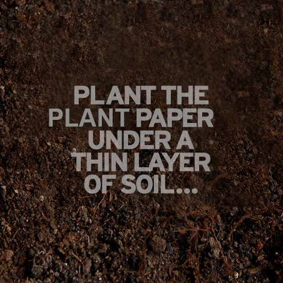 Custom Mini Plantable Paper Planting Kit With Biodegradable Pot And ...