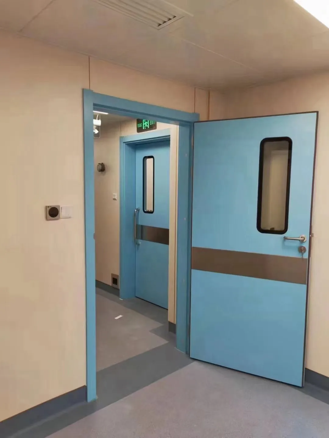 China Customized Modern Design Hygienic Hinged GRP Doors Single Double ...