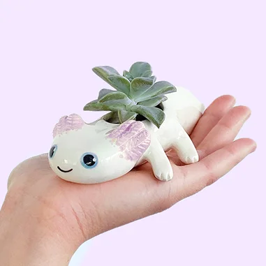 Custom Ceramic Axolotl Planter Cute Animal Garden Small Ambystoma ...