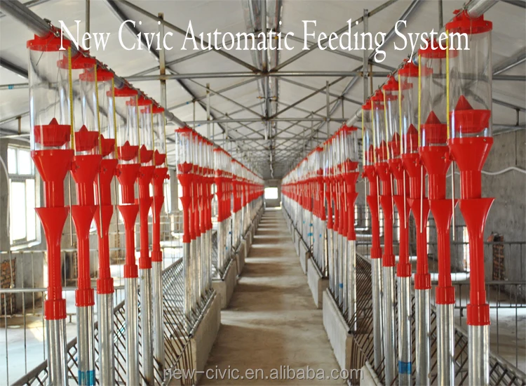 Hot Product Automatic Pig Feeding Equipment Pig Feeder Animal Feeder In ...