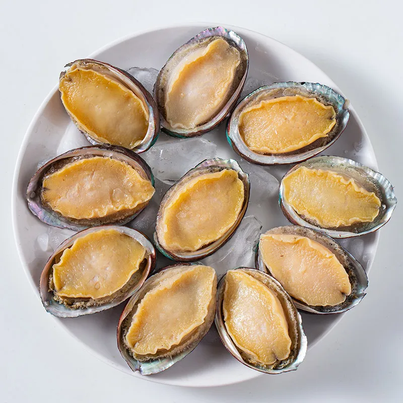 Wholesale Frozen Live Abalone Meat Frozen Polished Abalone In Shell And ...