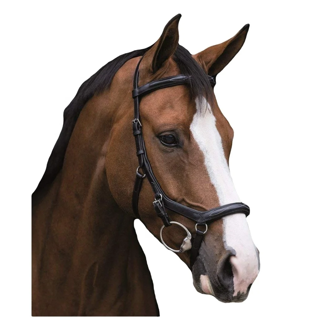 Rambo Micklem Deluxe Competition Horse Bridle Micklem Horse Bridles For ...