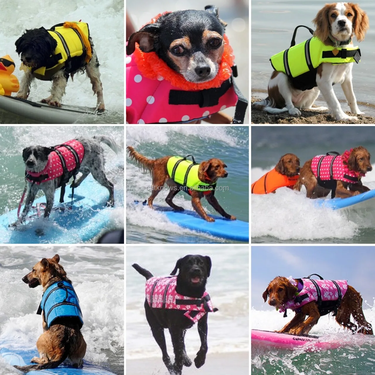 Xxs~m High Quality Rescue Clothing Swimming Suit Custom Size Luxe Dog ...