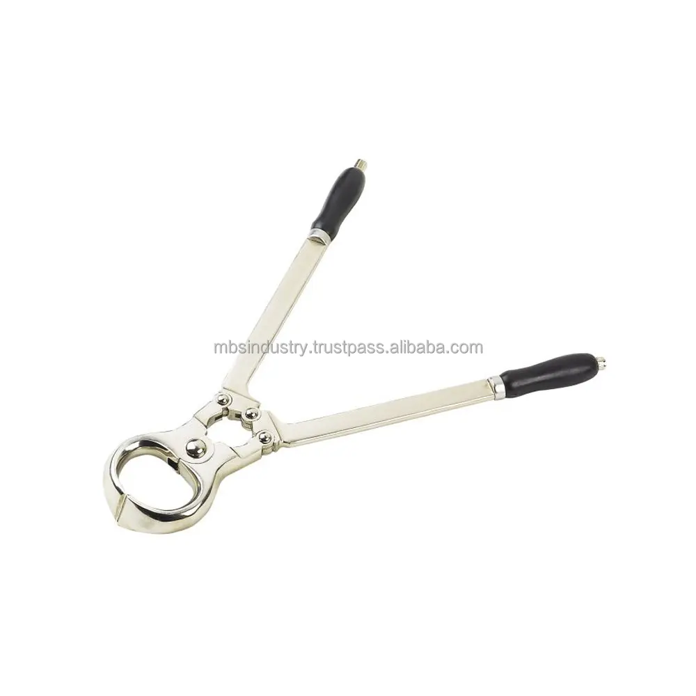 Professional Farrier Horse Hoof And Claw Instrument Tool Stainless ...