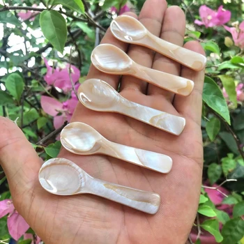 Luxury Restaurant Hotel Dinner Mother Of Pearl Spoon Shell Caviar Spoon ...