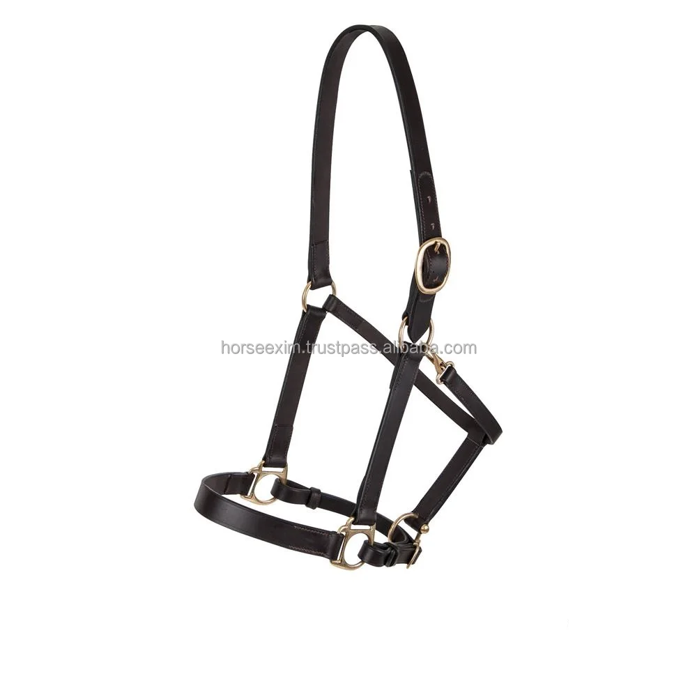 Rope & Leather Horse Halter \ Anatomic Leather Head Halter Leather ...