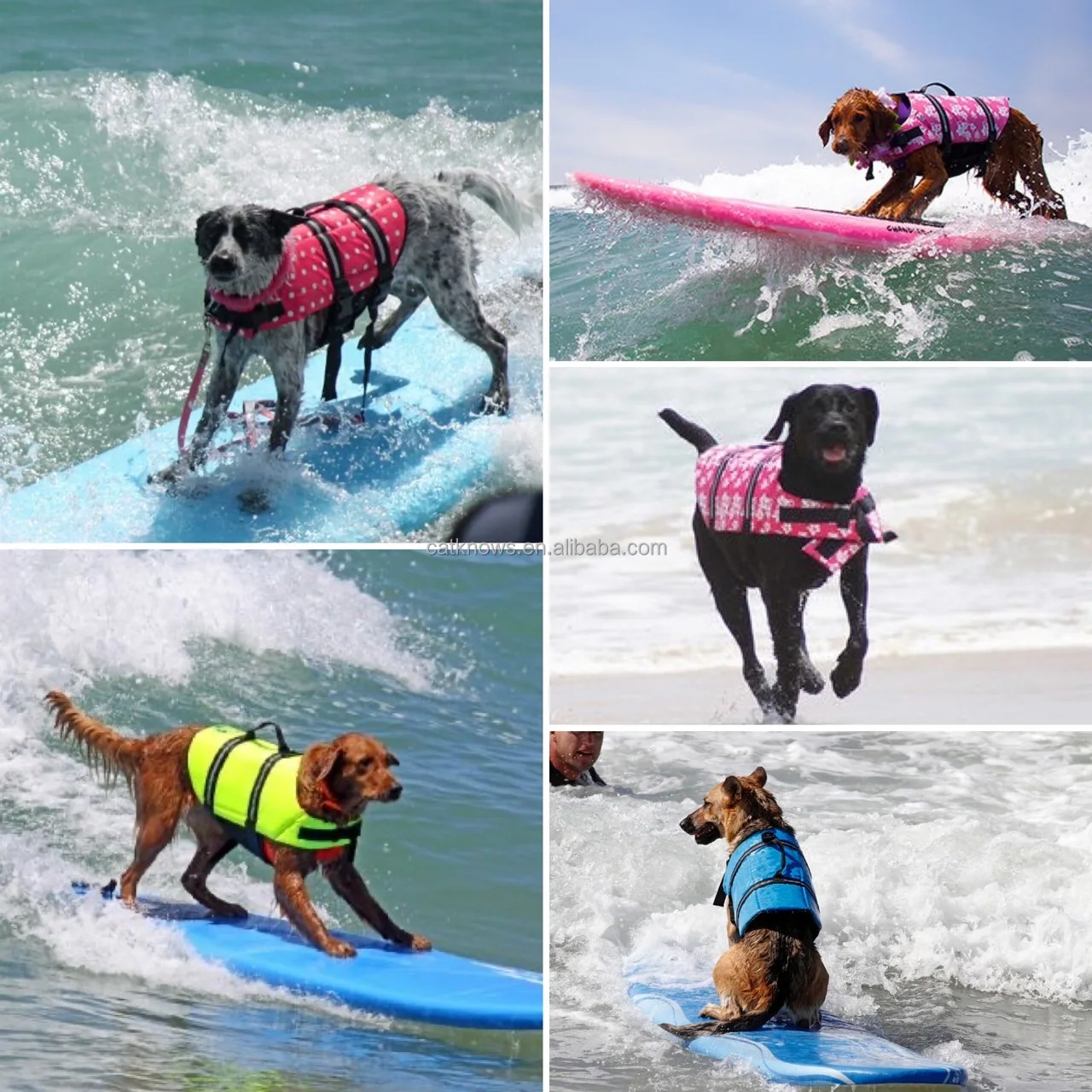 Xxs~m High Quality Rescue Clothing Swimming Suit Custom Size Luxe Dog ...