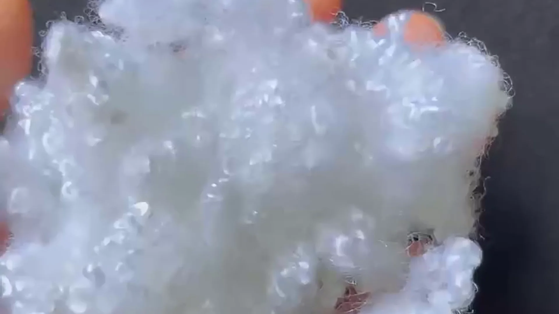 Recycled Fiber 100% Pet Bottles 7d Hcs Hollow Conjugated Siliconized ...