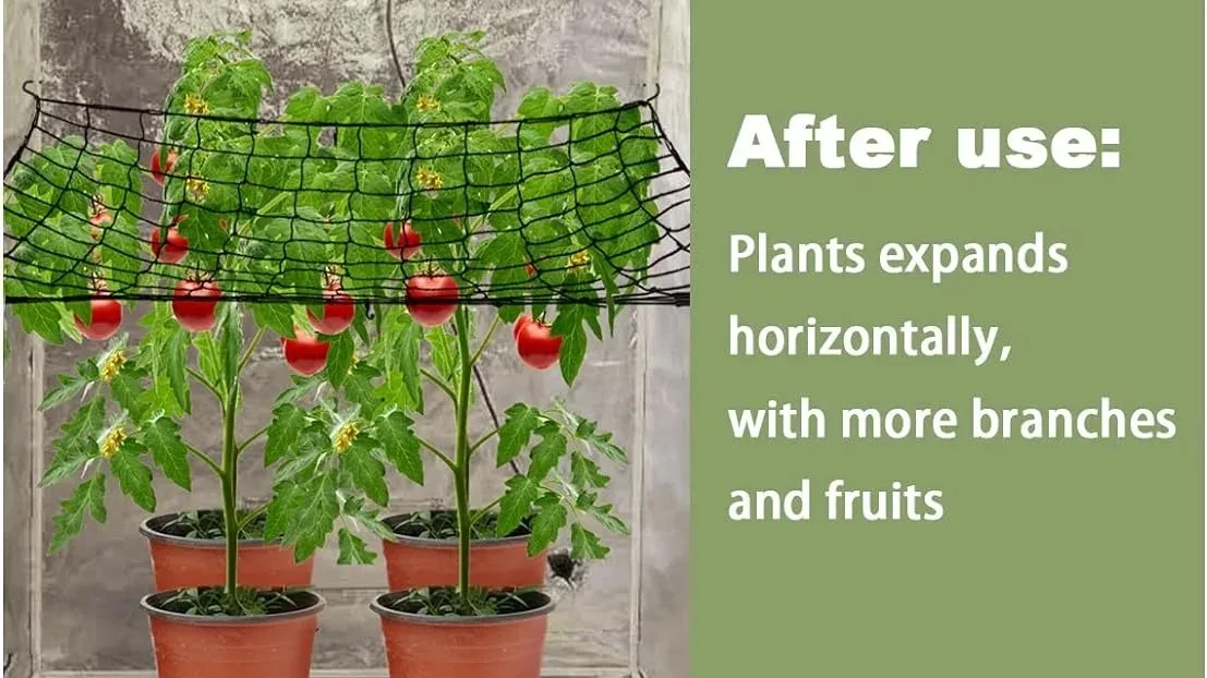 Bava 4x4 Growing Tent Trellis Netting Steel Hooks Trellis Plant Net For ...