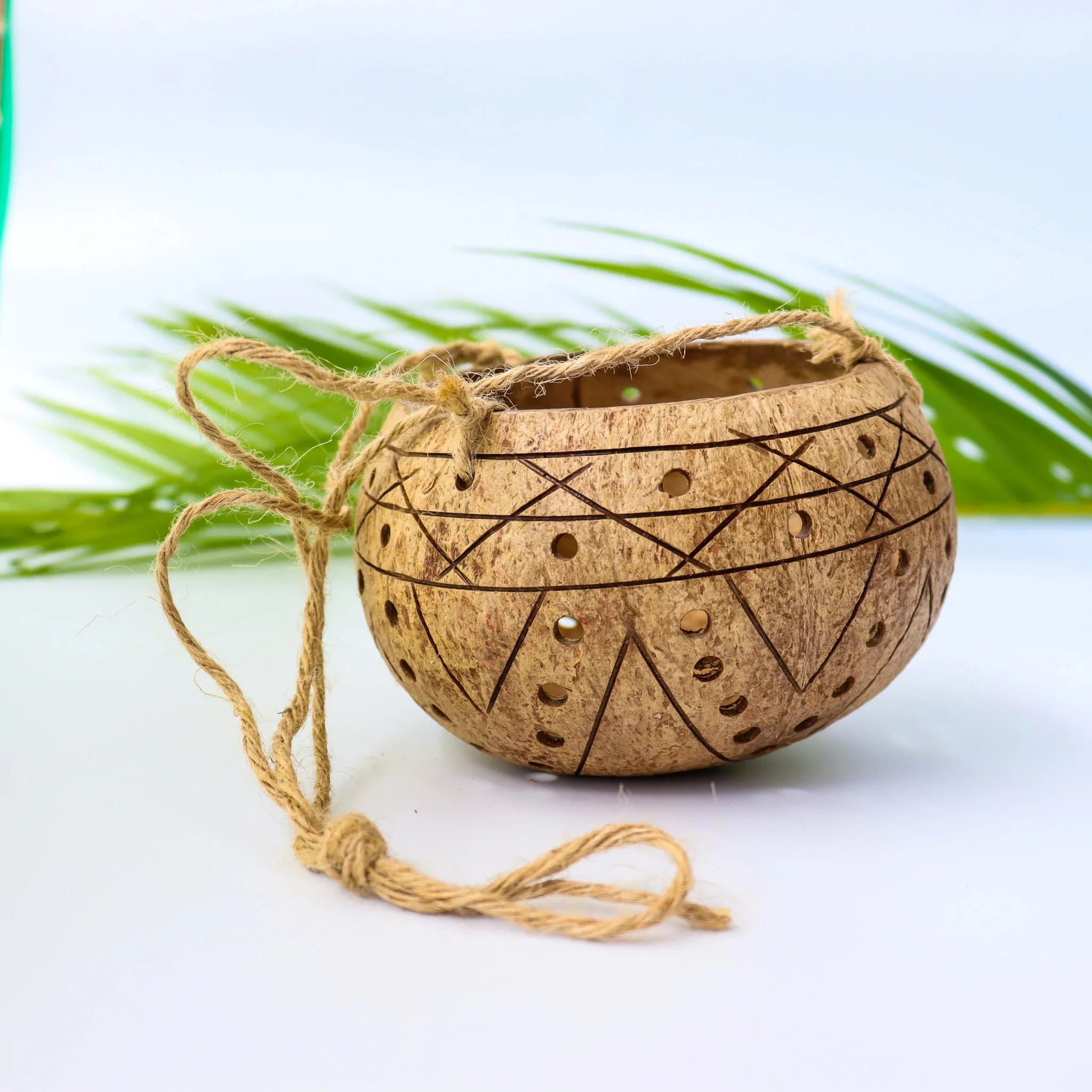 Coconut Husk Plant Pots - Biodegradable and Eco-friendly
