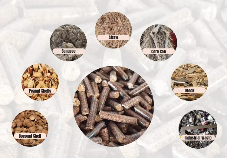 Latest Sustainable Biomass Pellets EFB Pellet Processing Equipment for ...