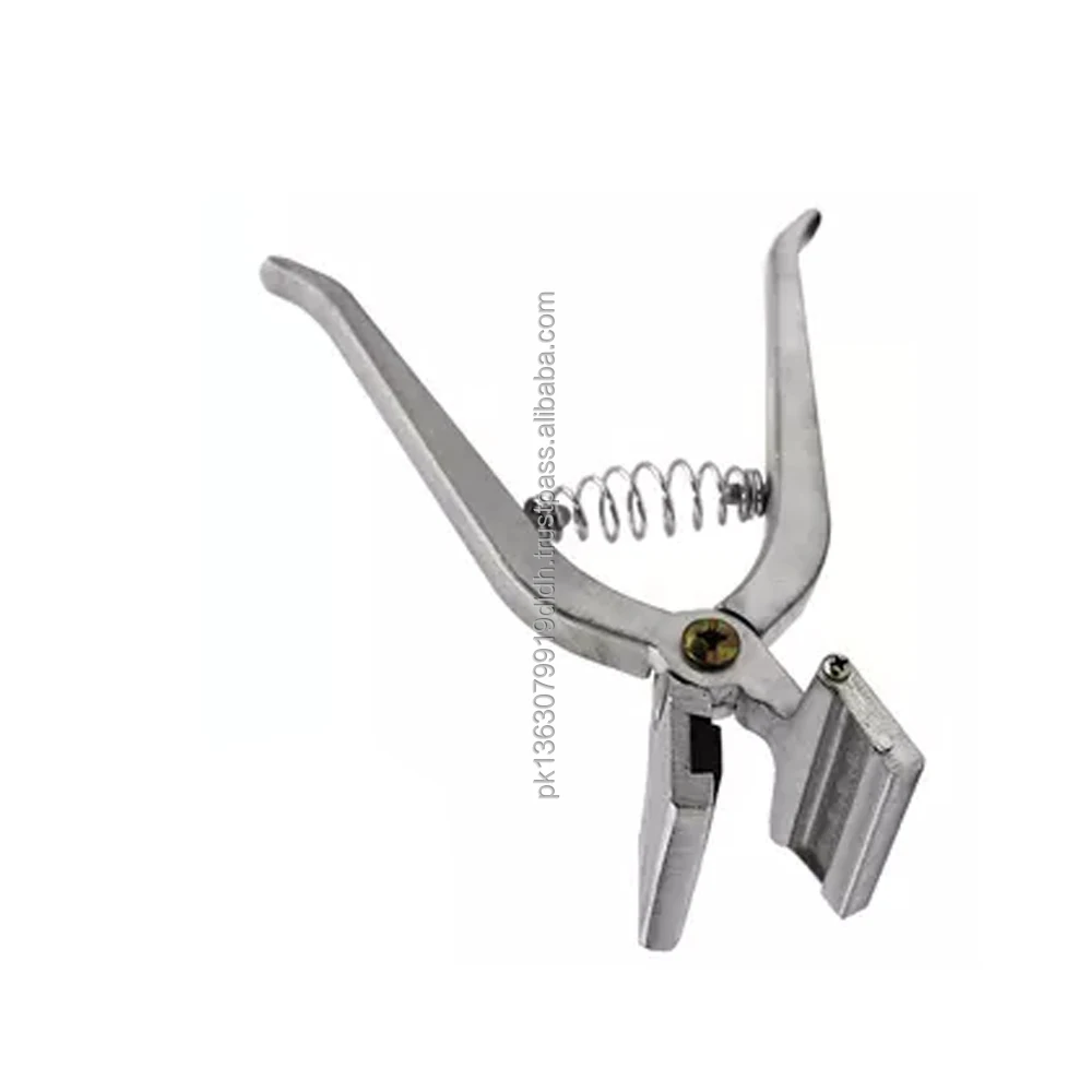 Top Quality Veterinary Instrument Hot Sale Veterinary Tattooing Forceps ...