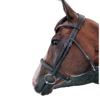 Anatomic Bridle Has A Curved Noseband - Buy Western Headstalls For ...