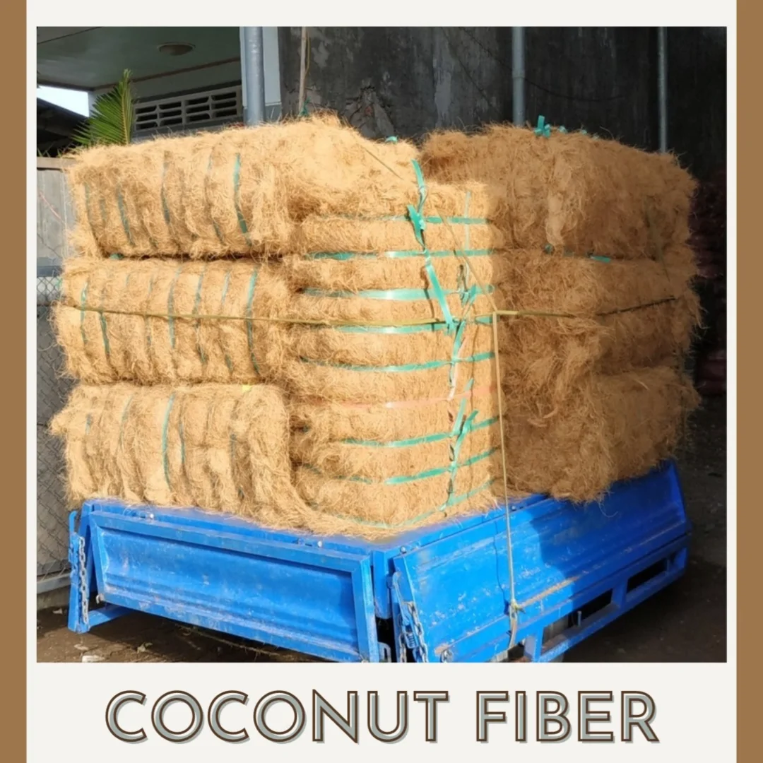Vietnam Best Export Quality Cocopeat Coconut Fiber Husk For Making ...