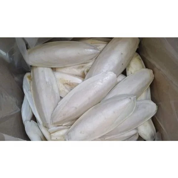 Cuttlefish Bone Available Without Broken Bone - Buy Sea Food,Dried ...