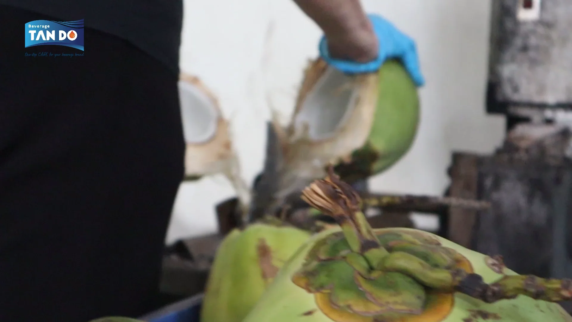 Nata De Coco Bottle 330ml Pet Private Label Lychee Melon Grape Orange ...