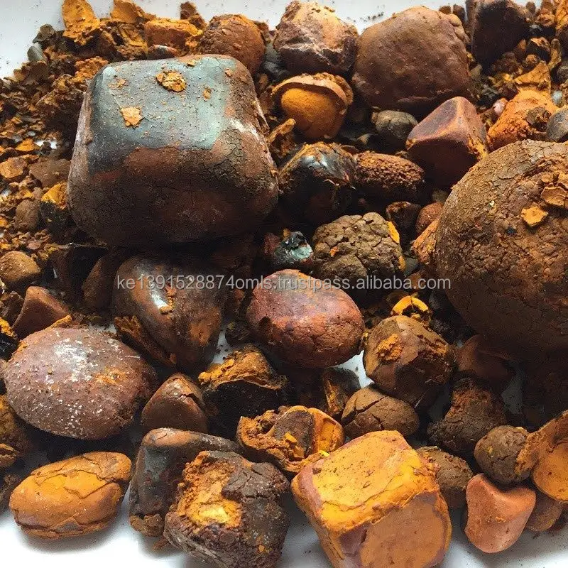 Natural Pure Bovine Gallstones / Cow Gallstones / Ox Gallstones - Buy ...
