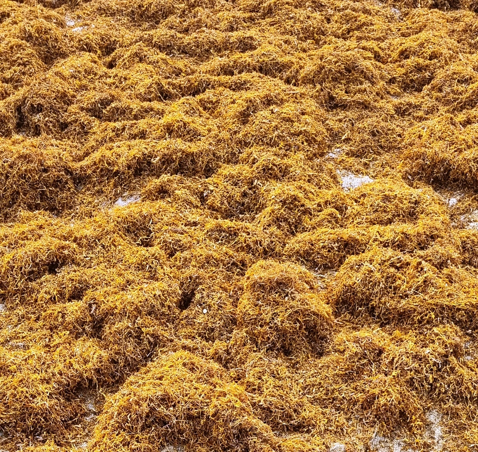 Brown and golden color custom blends roll your own bulk factory supply ...