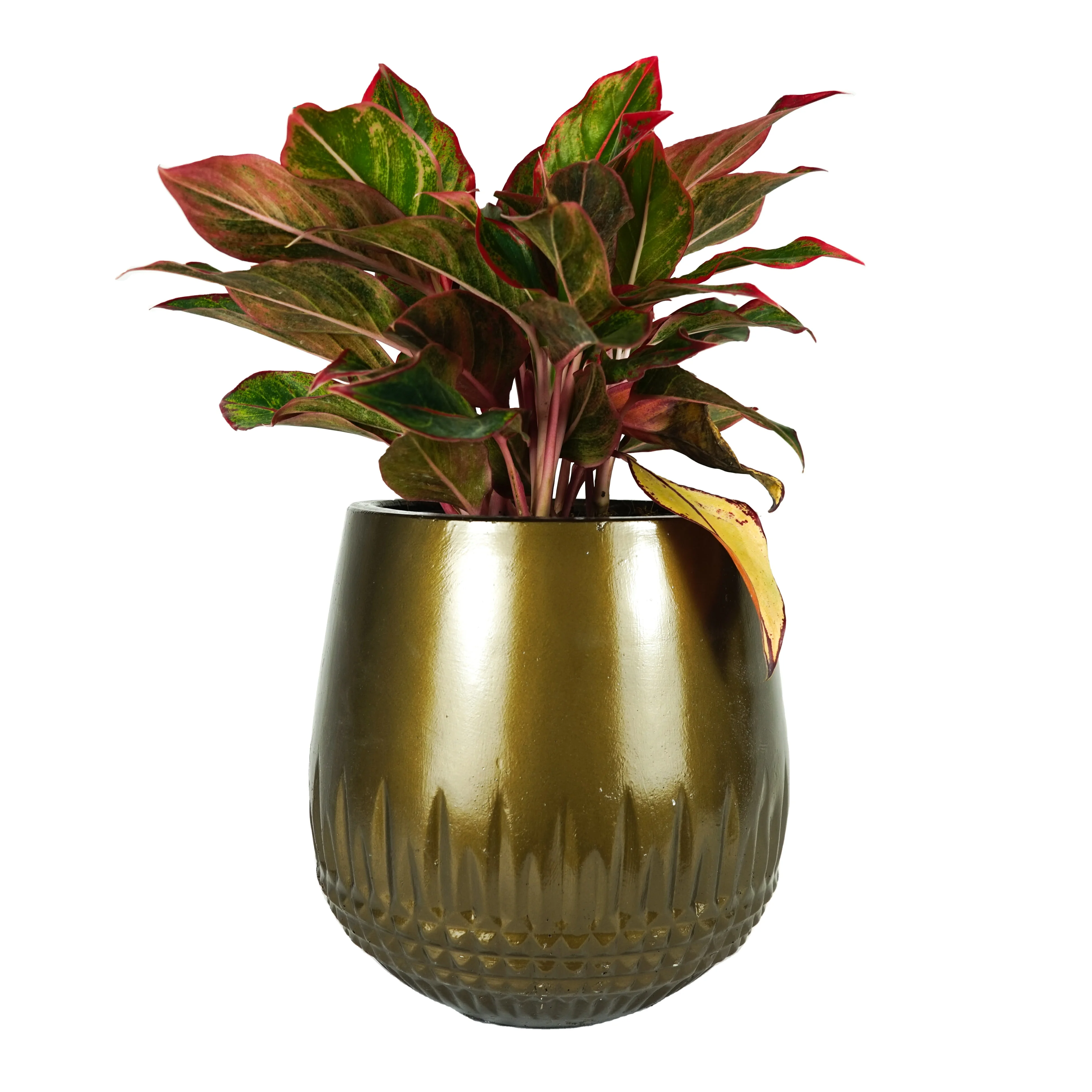 Best Quality Vietnam Golden Pots Contemporary Style Cement Home Garden ...