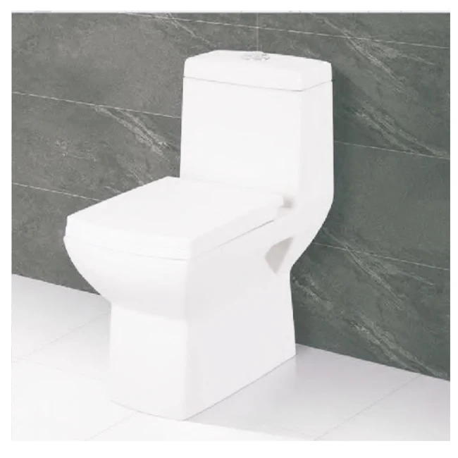 Hot Selling One Piece Toilet Available In Advanced Flushing System ...