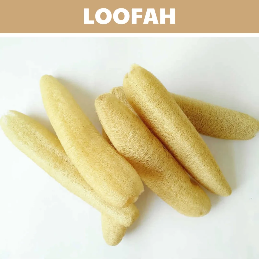 Shower Bath Natural Luffa Back Scrubber Showering Biodegradable ...