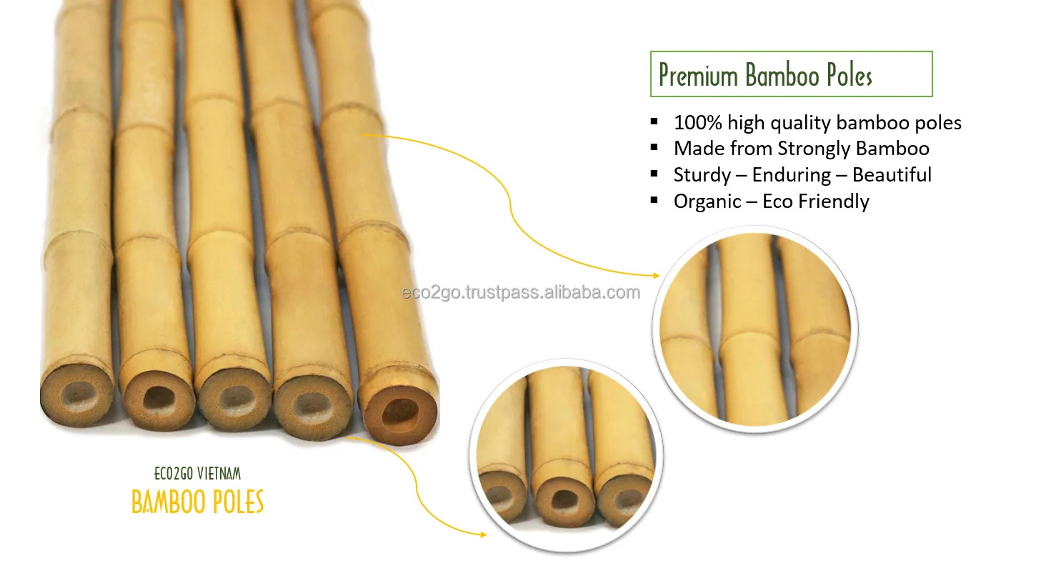 Bamboo Poles From Vietnam - the Best Construction Bamboo Export by ...