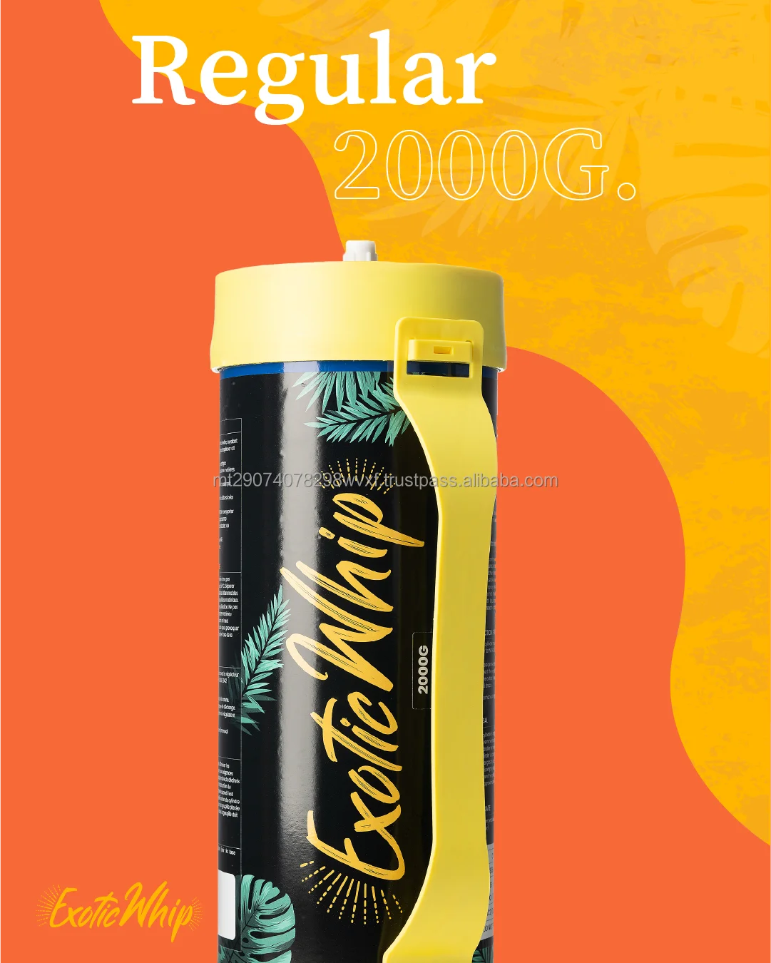 Bulk Distributor Selling Kitchen & Tabletop Usage Exotic Whip Original ...