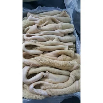 Frozen Beef Tripes / Beef Tripe & Beef Honeycomb Good Prices - Buy ...