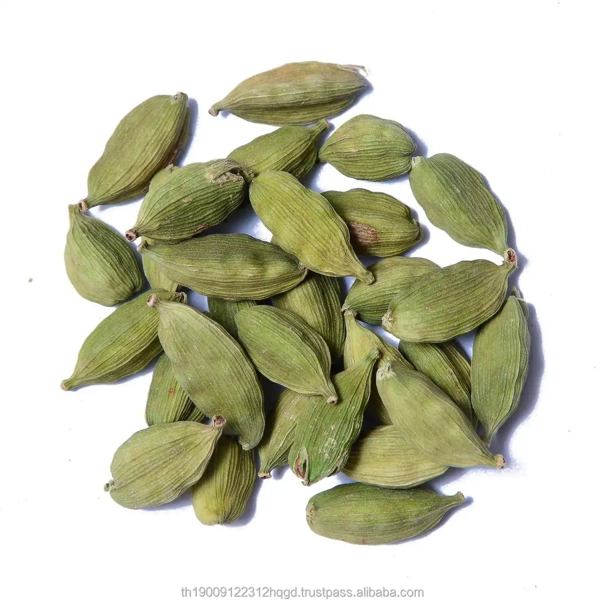 Whole Large Size Green Cardamom - 2 Year Shelf Life