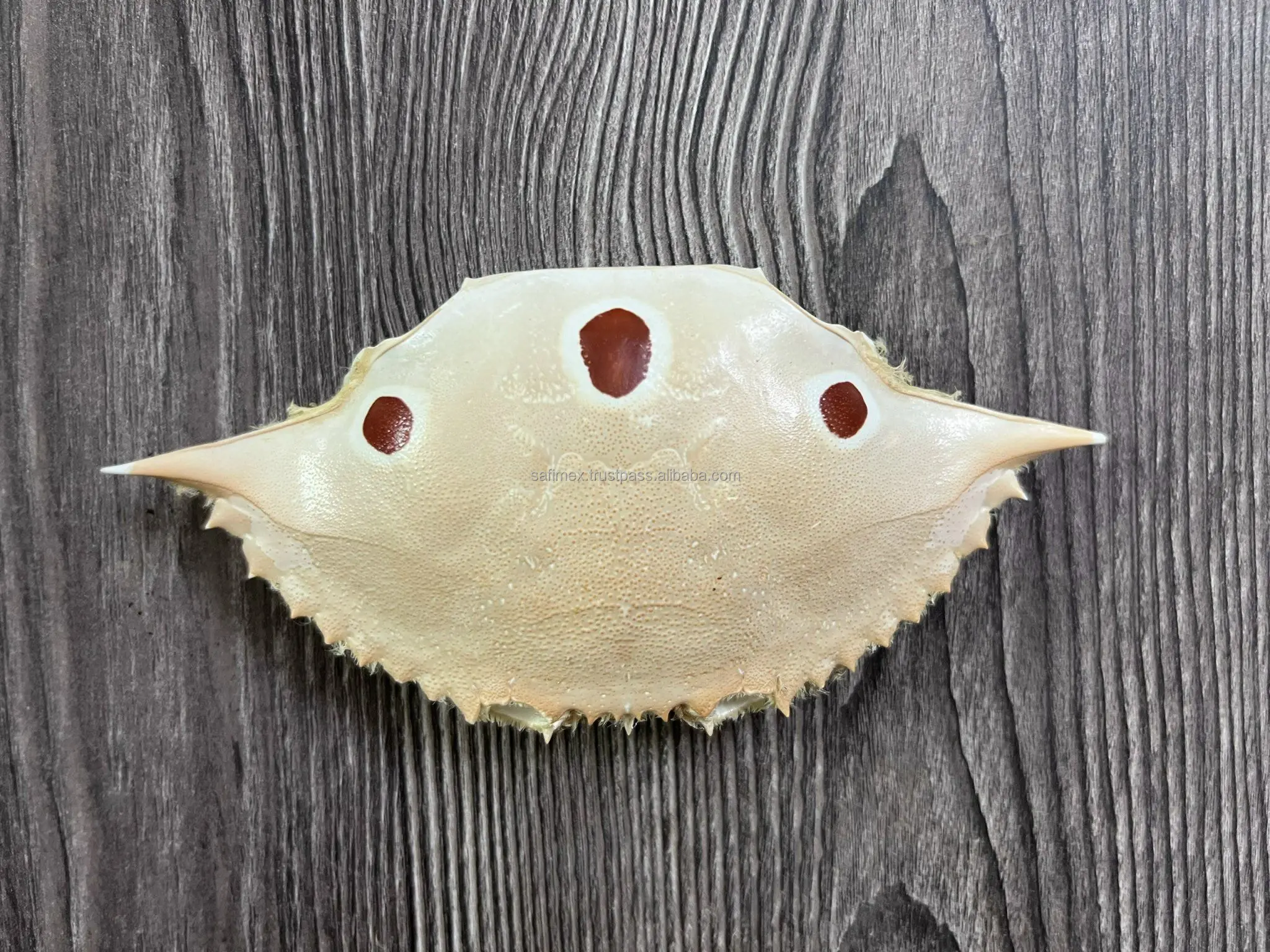 Large Crab Shell for Food Stuff Seafood / Crab Shell for Farci Cuisine ...