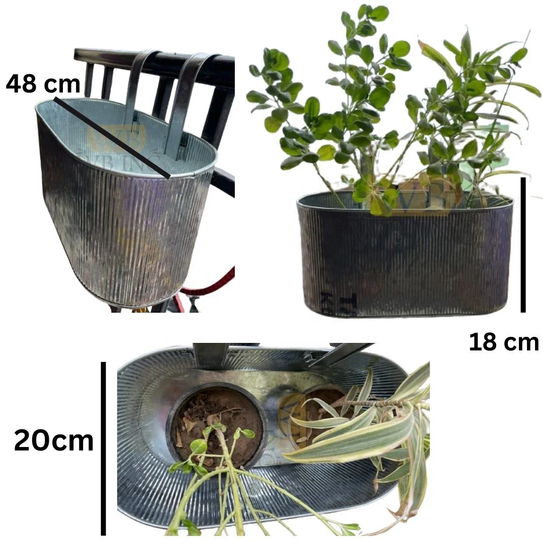 Wire Garden Cloche Waterproof Metal Modern Extension for Pest Control ...