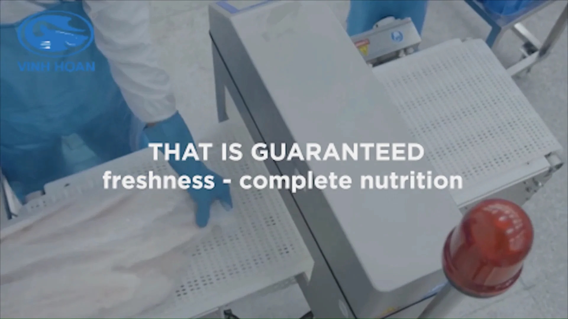 Premium Frozen Pangasius Portion - Top Vietnam Wholesaler Seafood ...